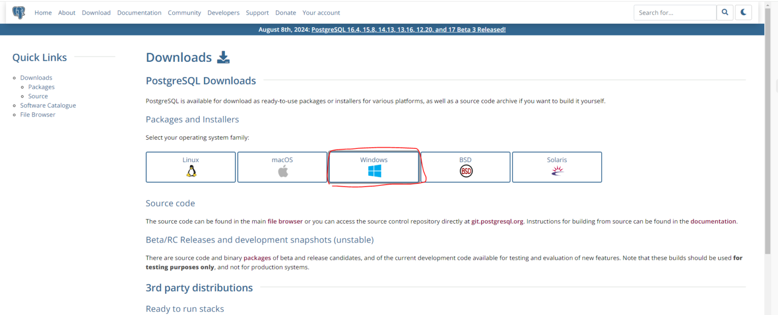 【2024年8月】postgresqlをインストールする方法(windows) 完全独学python
